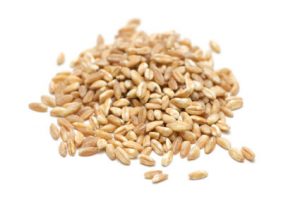 Discover Spelt: The Nutritious Ancient Grain